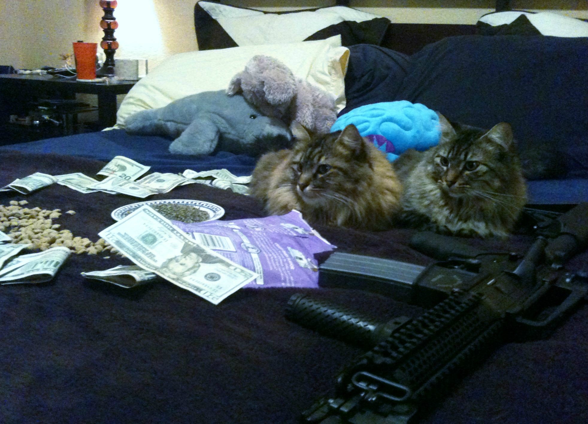 Cats With Guns And Money