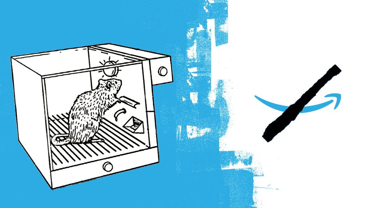 Skinner Box Gif